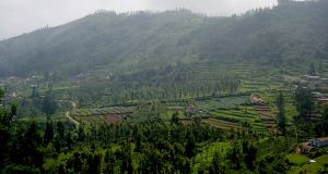Ketti Valley Coonoor (Entry Fee, Timings, Best time to visit, Images ...
