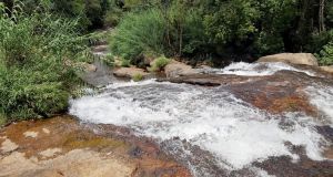 Catherine Falls Coonoor (Timings, History, Entry Fee, Images ...