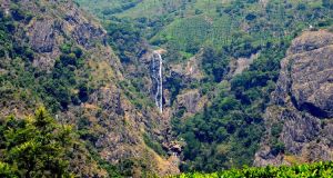 Catherine Falls Coonoor (Timings, History, Entry Fee, Images ...