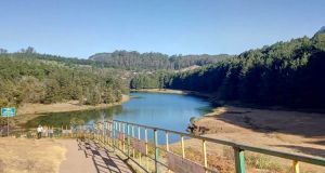 Pykara Waterfalls Ooty, Entry Fee, Timings, Entry Ticket Cost, Price ...