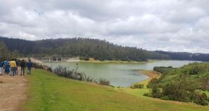 Pykara Lake / Boat Club Ooty (Entry Fee, Timings, Best time to visit ...