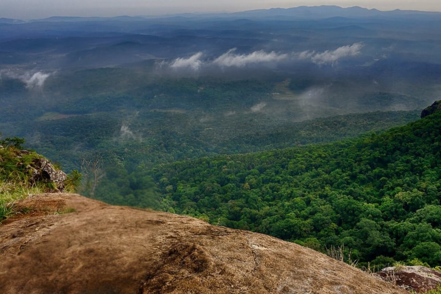 Sholur Viewpoint Ooty (Entry Fee, Timings, Best Time to Visit, Location)