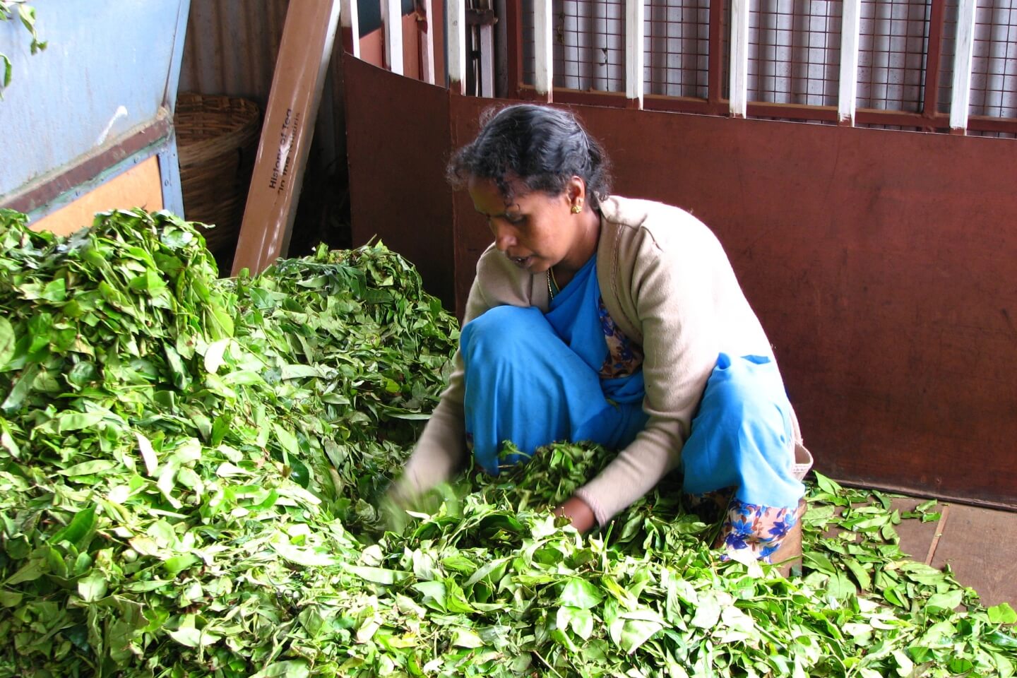 Tea Museum / The Tea Factory (Doddabetta Road) Ooty (Entry Fee, Timings ...